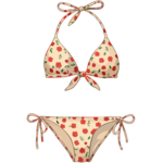 bikini Meaning, Definition & Pronunciation | EngDict